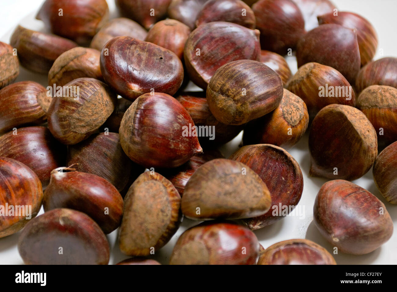 Fresh chestnut on a white background Stock Photo - Alamy