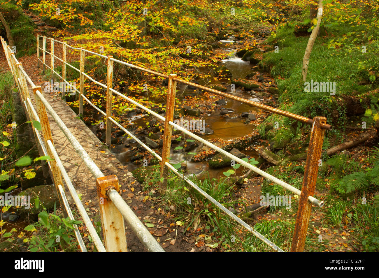 A bridge crossing over a small beck within the Allen Banks National ...