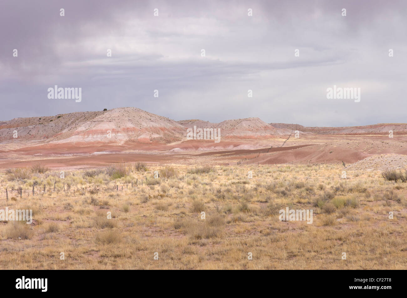 scenic view of Arizona fields and its pinkish hills on a cloudy sky ...
