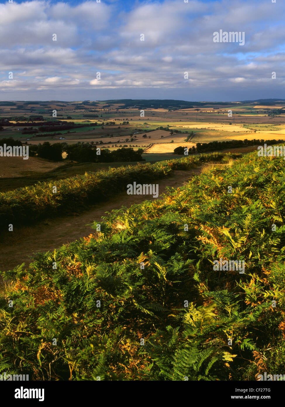 View from Cheviot Hills towards Scottish Borders Stock Photo - Alamy