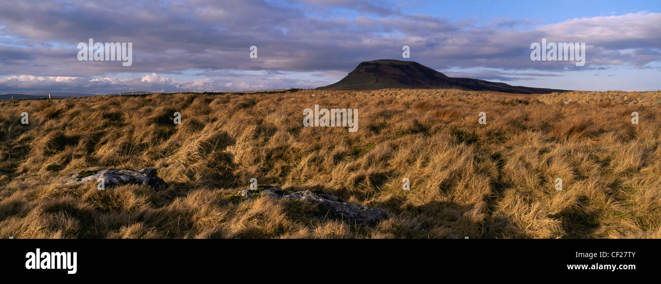 Limestone outcrops north yorkshire hi-res stock photography and images ...