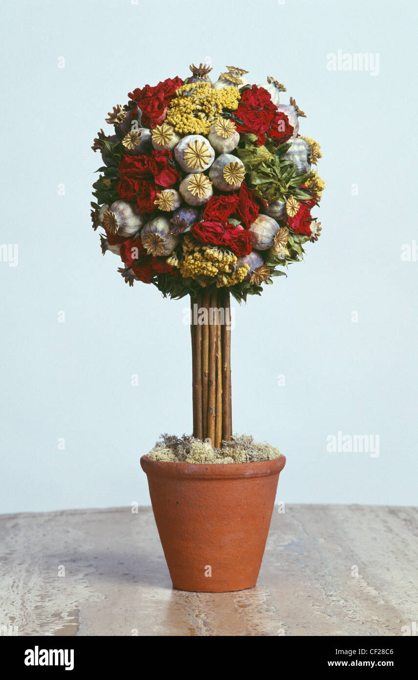 How to make a rose treeThe finished rose tree Stock Photo - Alamy