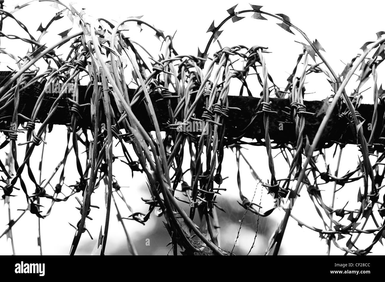 Razor barbed wire Black and White Stock Photos & Images - Alamy