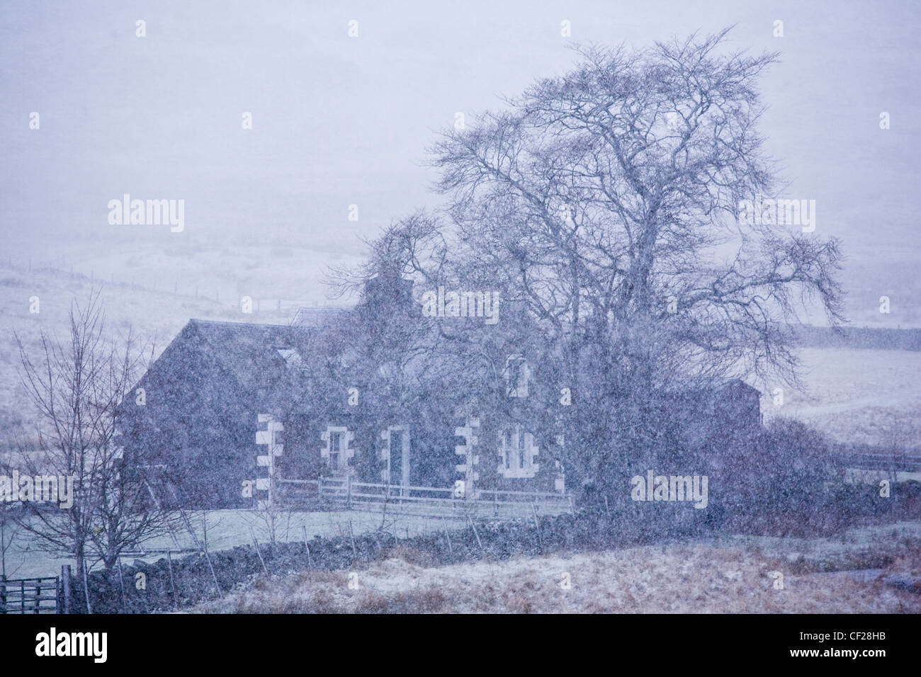 A snow blizzard engulfs a farm house situated near the remote Glenlude ...