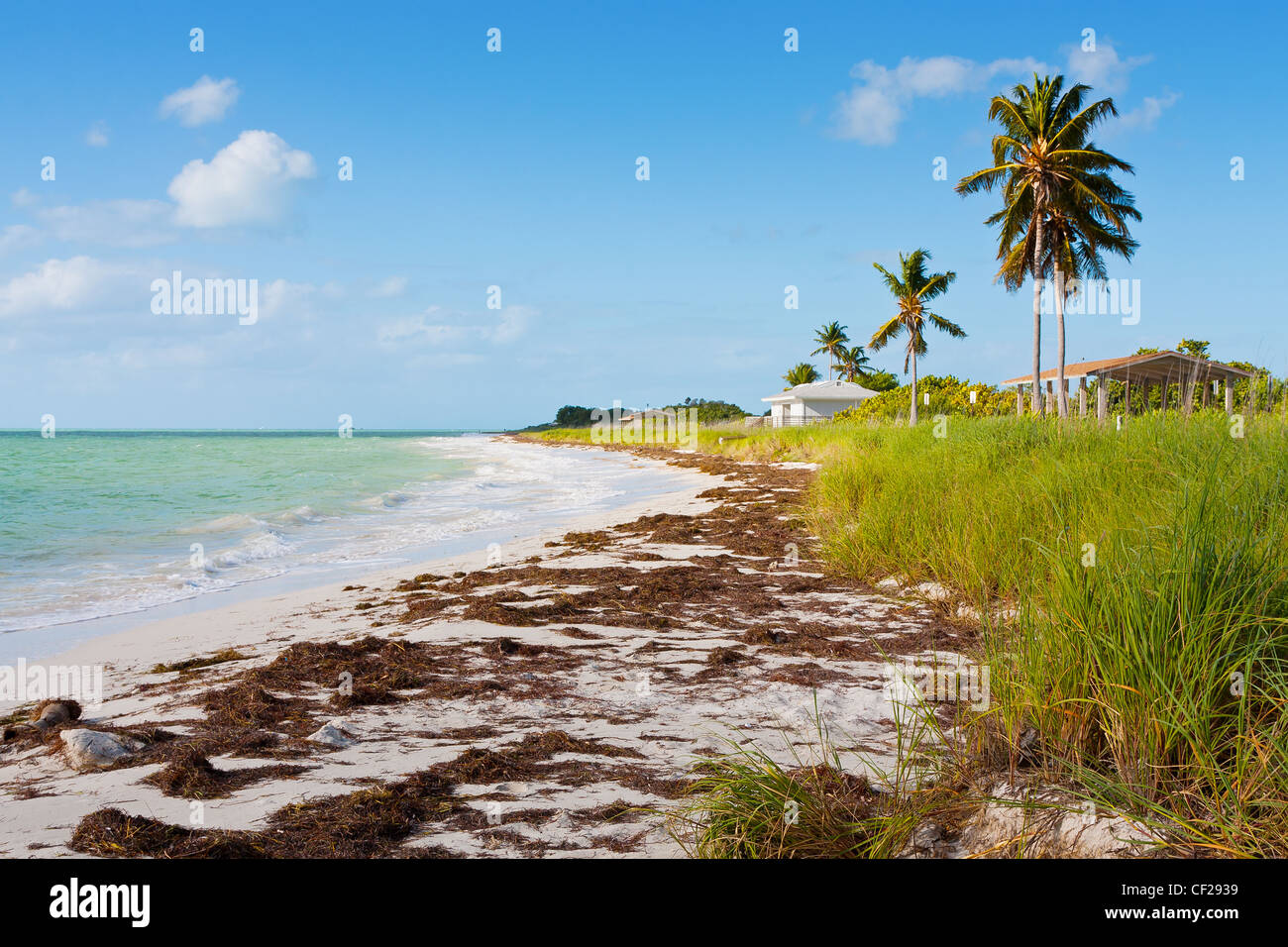 Florida Keys beach scene with blue sky and clouds Stock Photo - Alamy