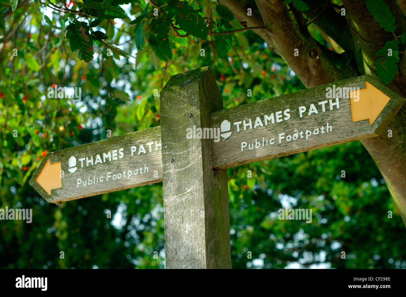 The Thames Path signpost. The Thames Path is a National Trail which was ...