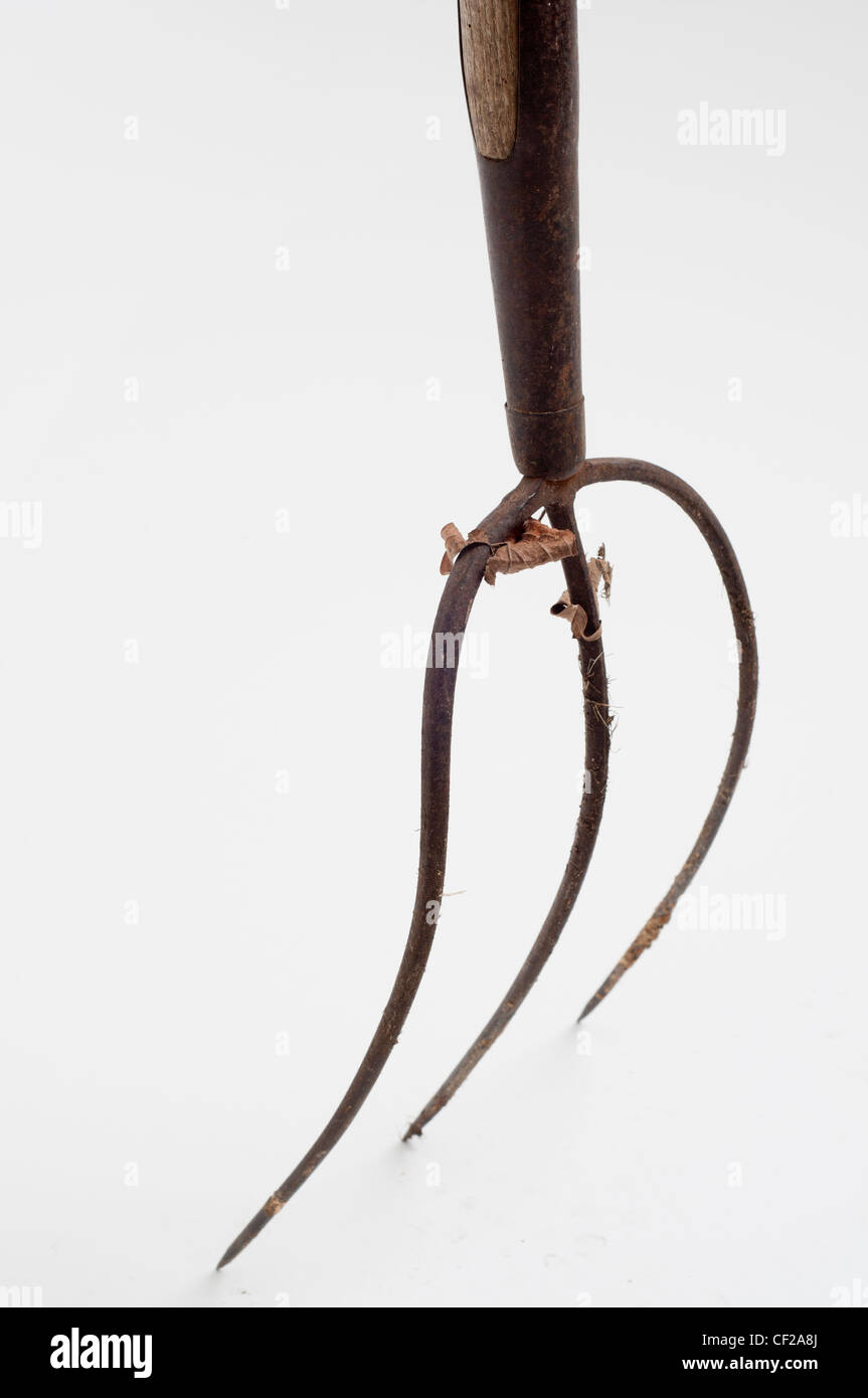 pitchfork on white Stock Photo - Alamy