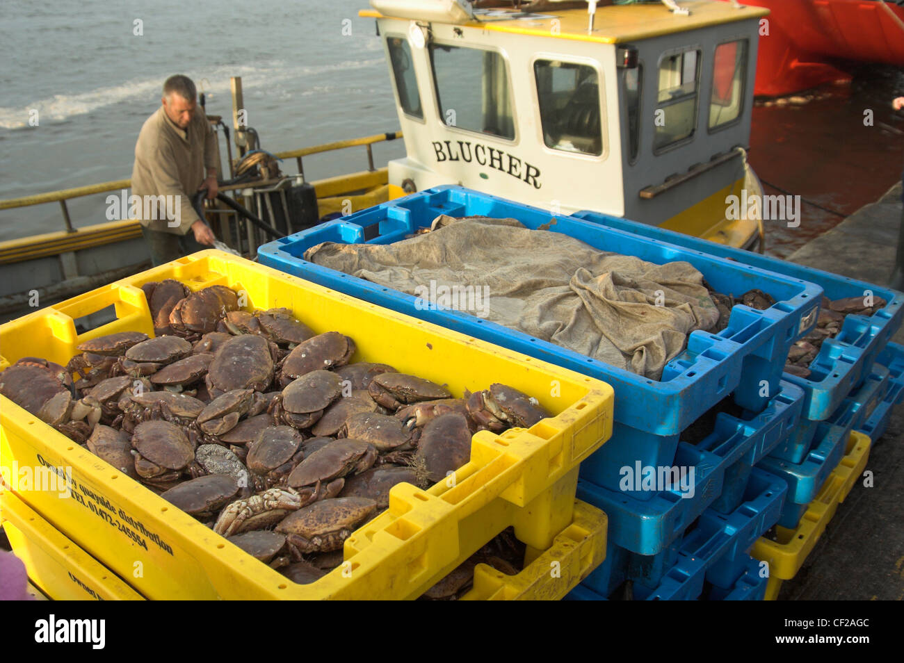 Shellfish Trays High Resolution Stock Photography and Images - Alamy