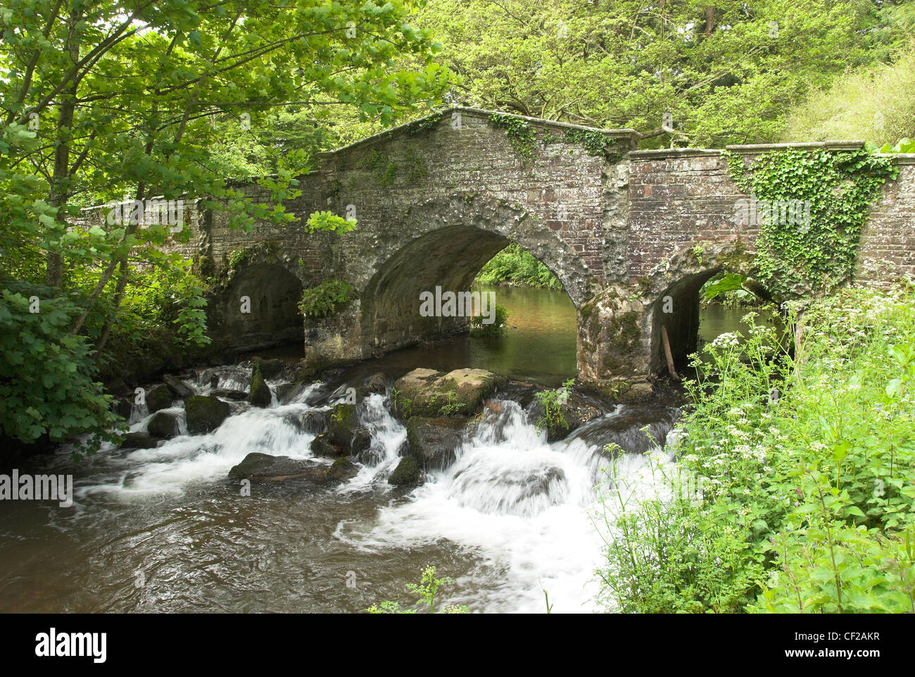 Typical Exmoor bridge over the River Barle Stock Photo - Alamy
