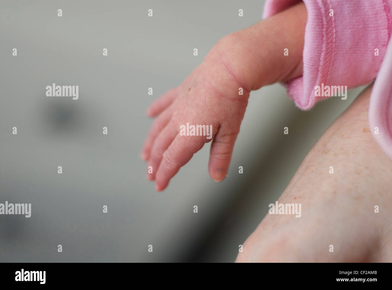A close up of a newborn Female baby's hand Stock Photo - Alamy