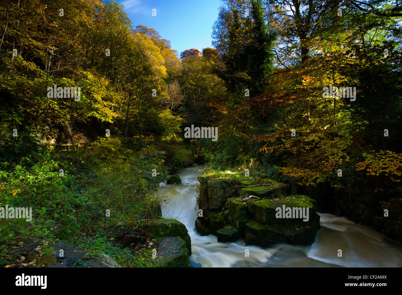 Ouseburn river hi-res stock photography and images - Alamy