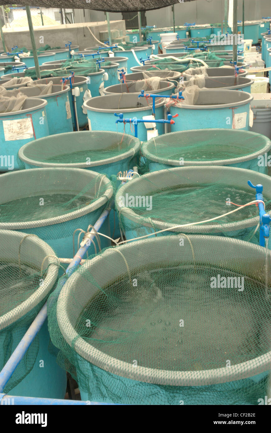 Agriculture aquaculture water system farm Stock Photo - Alamy