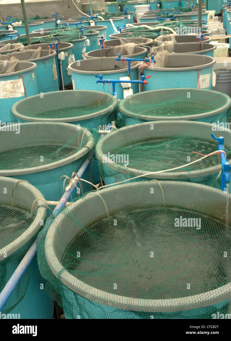 Agriculture aquaculture water system farm Stock Photo - Alamy