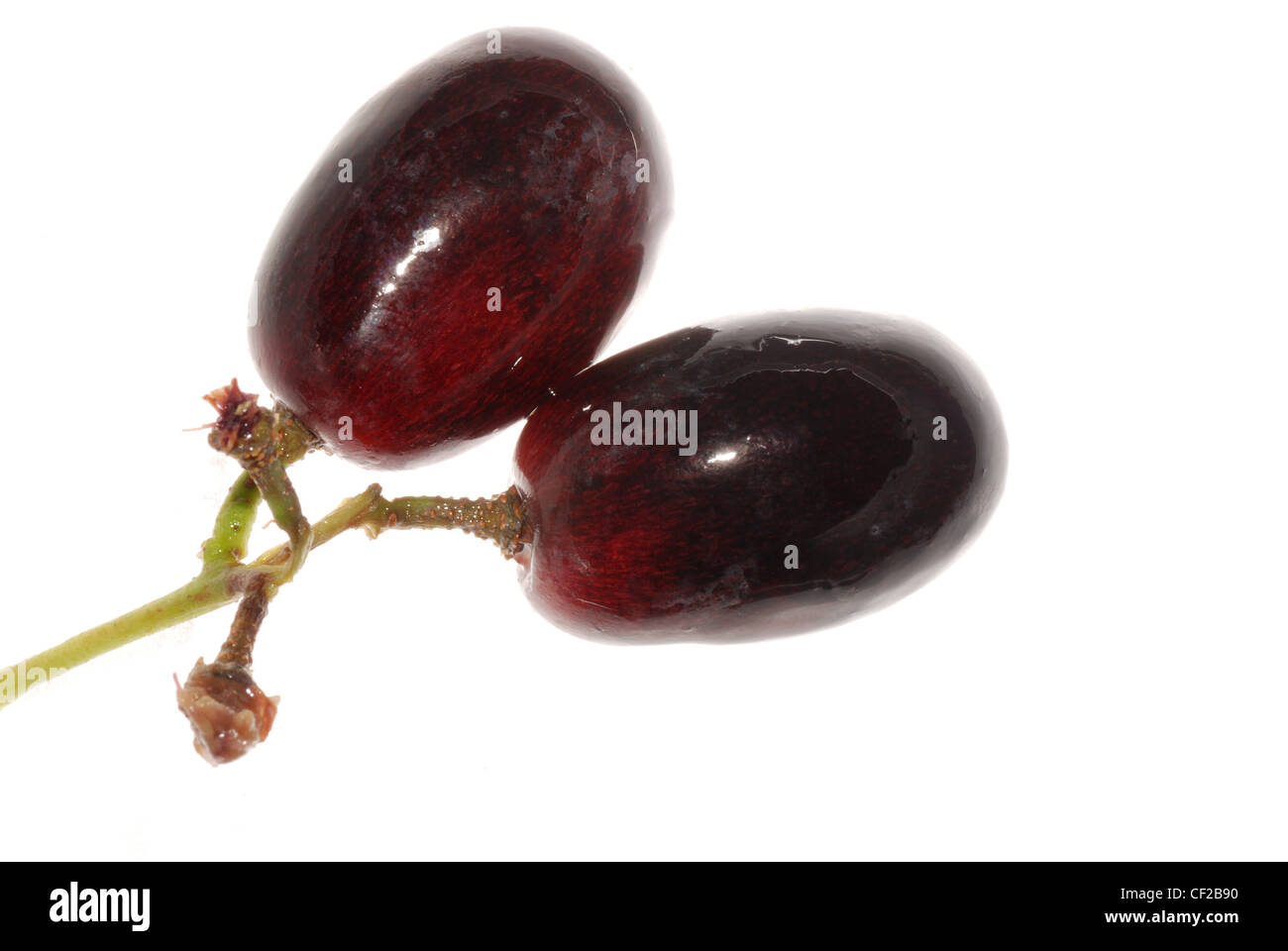 grape isolated on white background Stock Photo - Alamy