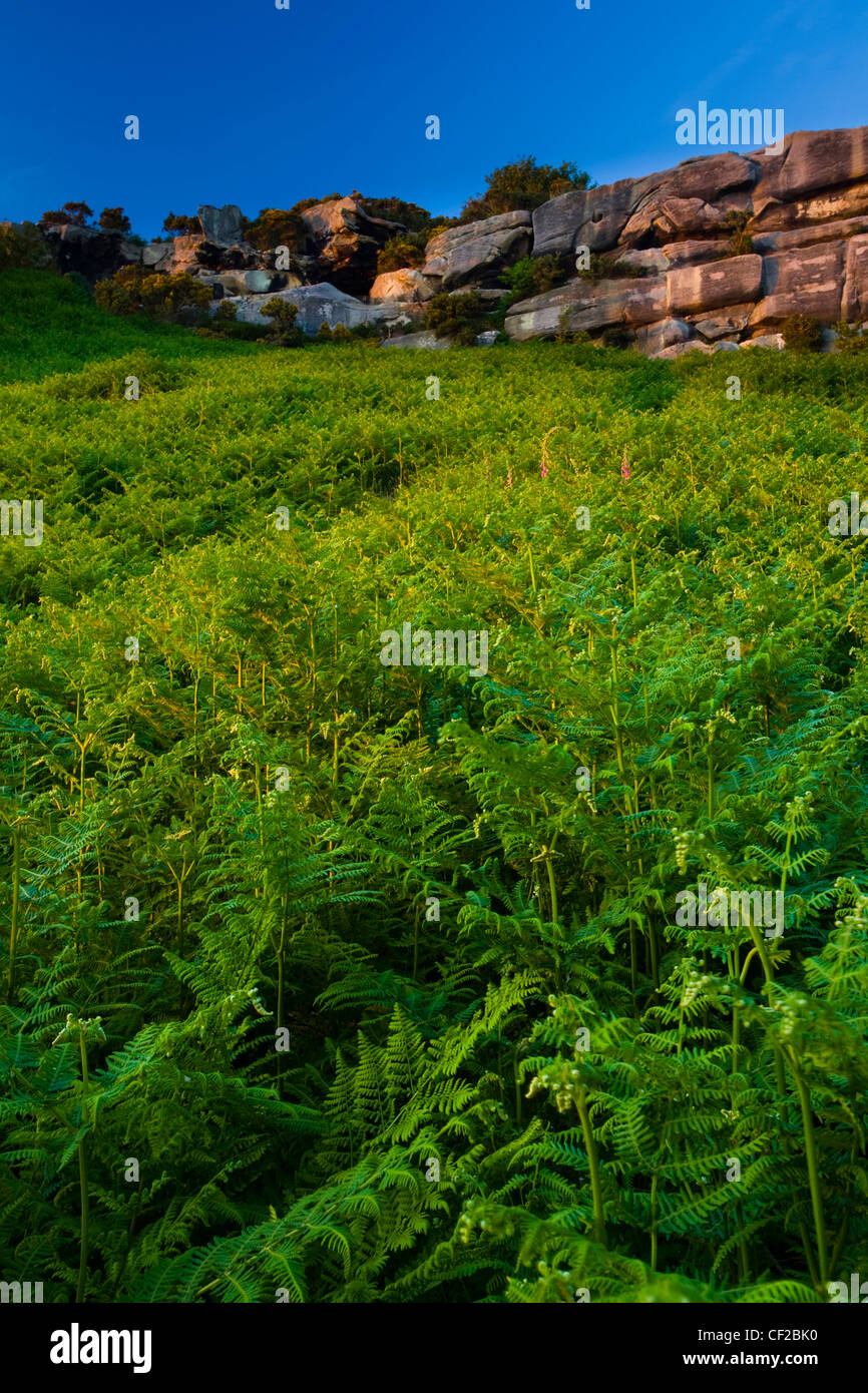 Native sandstone hi-res stock photography and images - Alamy