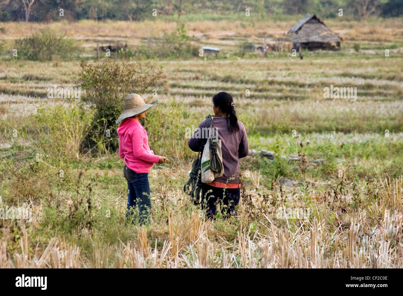 Two women subsistence farmers are standing in a dry rice field on a ...