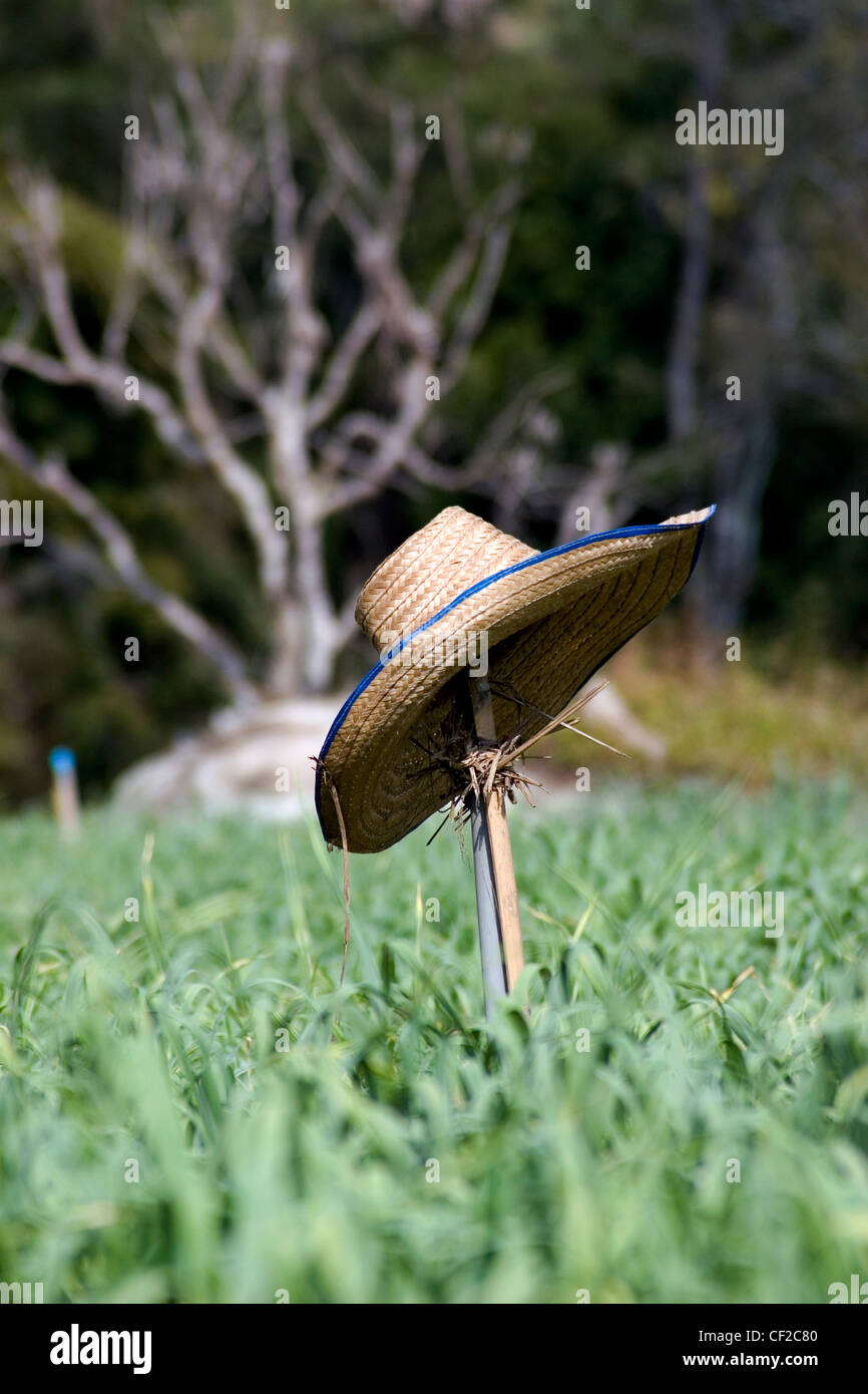 Traditional farmers stick hi-res stock photography and images - Alamy
