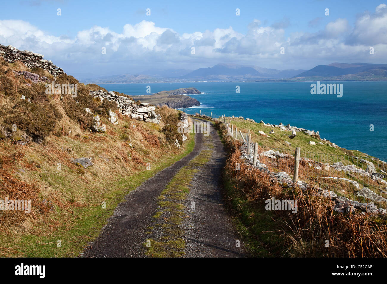 Ballinskelligs Bay Near Ballinskelligs; County Kerry Ireland Stock ...