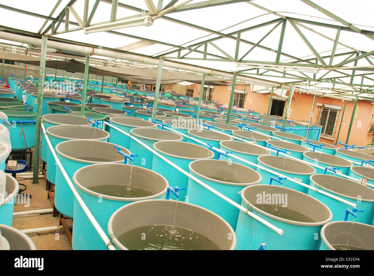 Agriculture aquaculture water system farm Stock Photo - Alamy