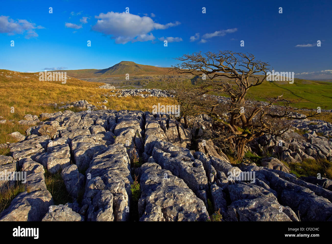 View of Ingleborough, the second highest mountain in the Yorkshire ...