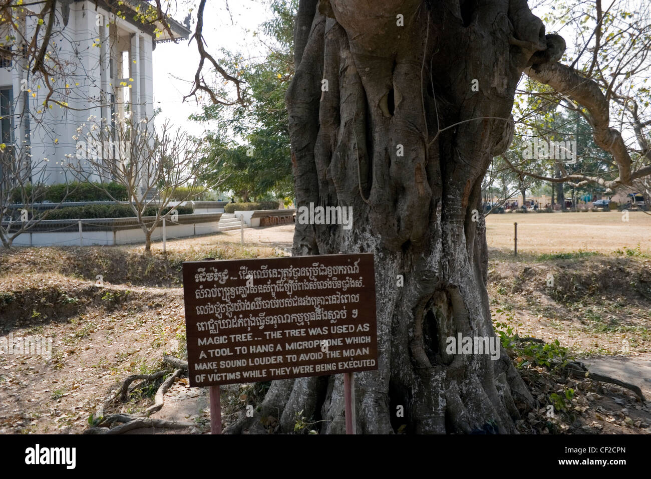 A tree known as Magic Tree is on display at Choeung Ek Killing Fields ...