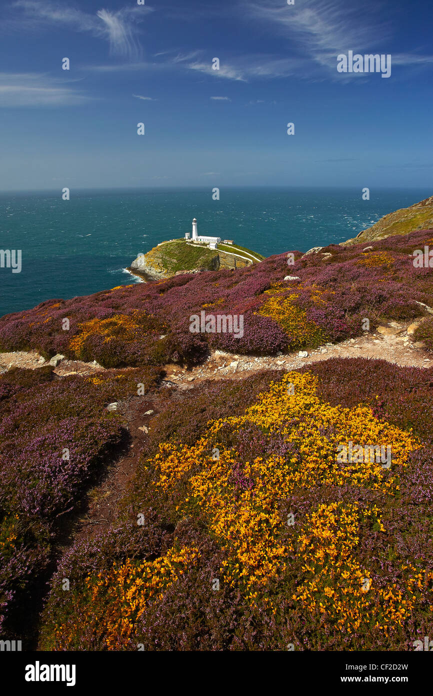 South Stack lighthouse on the north west coast of Anglesey guarding the ...