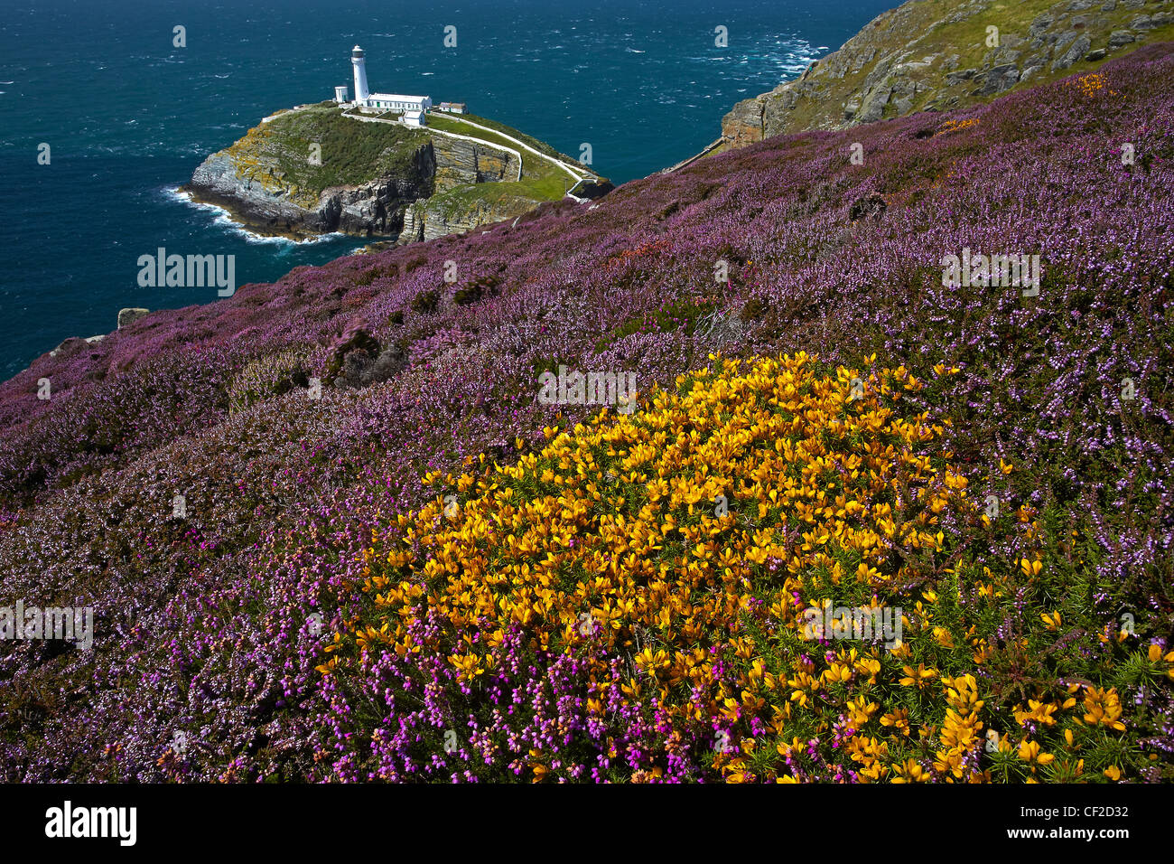South Stack lighthouse on the north west coast of Anglesey guarding the ...