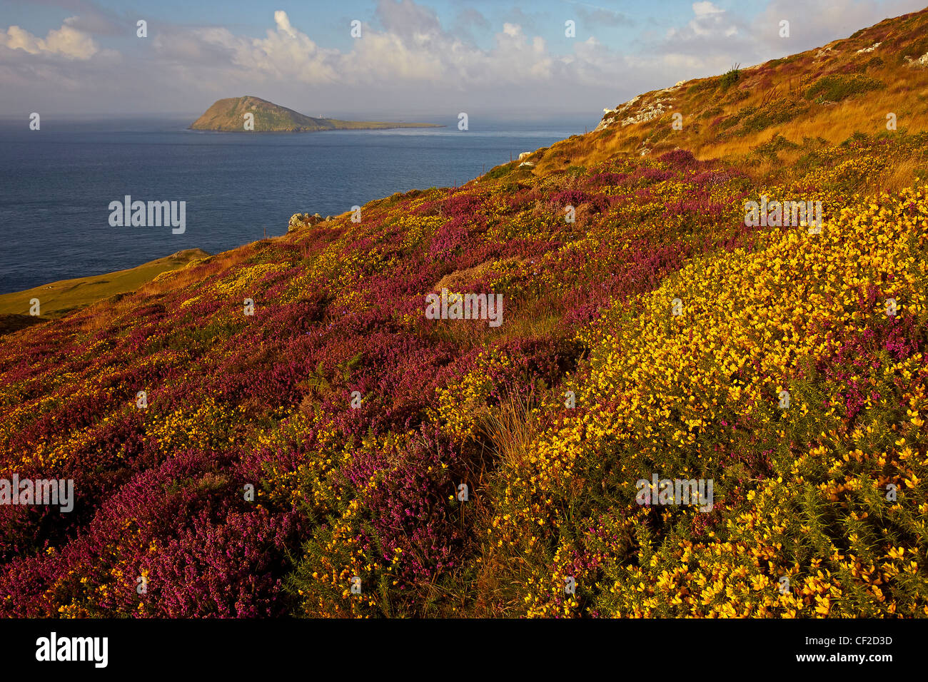 Bardsey island hi-res stock photography and images - Alamy