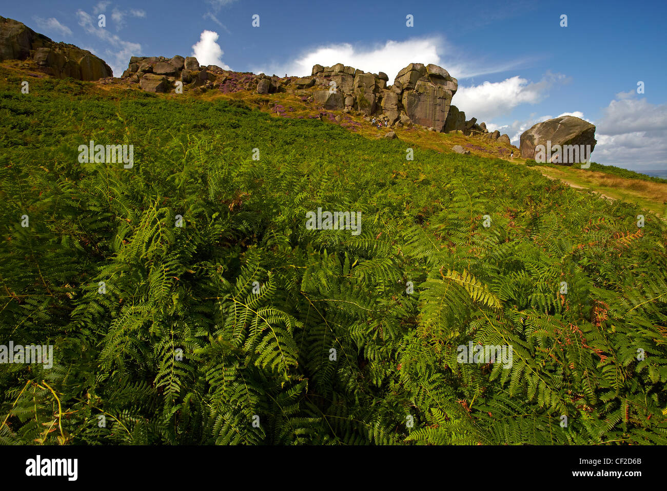 Calf rock ilkley moor hi-res stock photography and images - Alamy