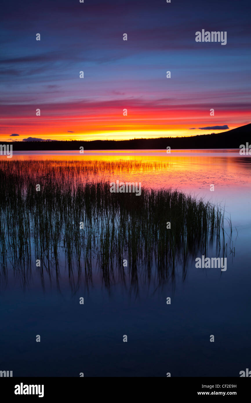 Loch morlich cairngorm national park hi-res stock photography and ...