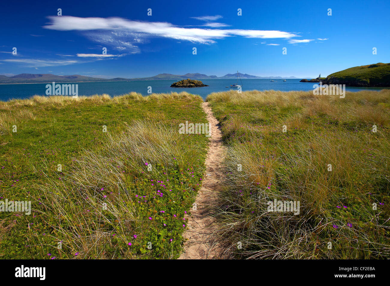 Path leading to beach on Llanddwyn Island with mountains of Snowdonia ...