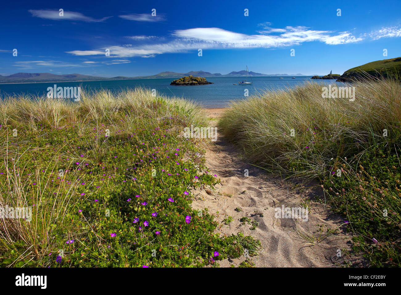 Path leading to beach on Llanddwyn Island with mountains of Snowdonia ...