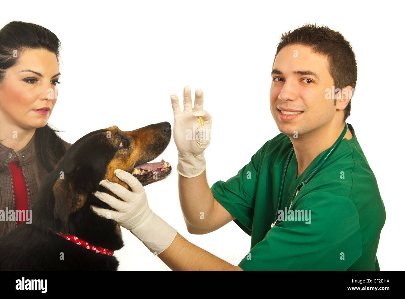 Black male vet doctor dog hi-res stock photography and images - Alamy