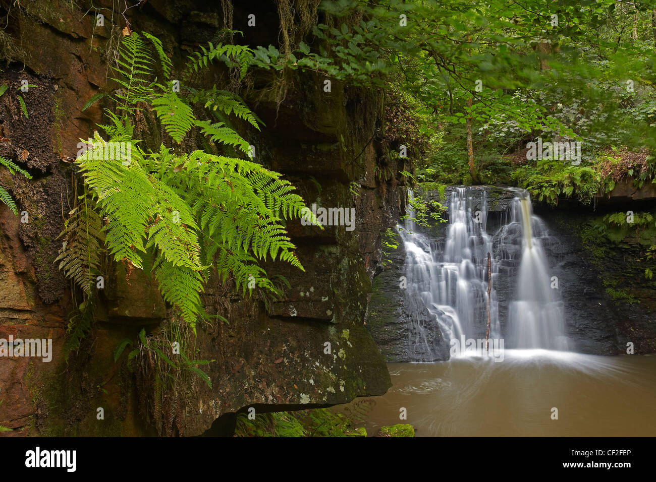 Harden Beck cascading over Goit Stock Falls in Goit Stock Wood Stock ...