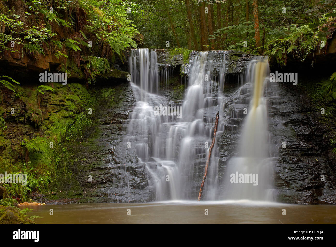 Harden Beck cascading over Goit Stock Falls in Goit Stock Wood Stock ...