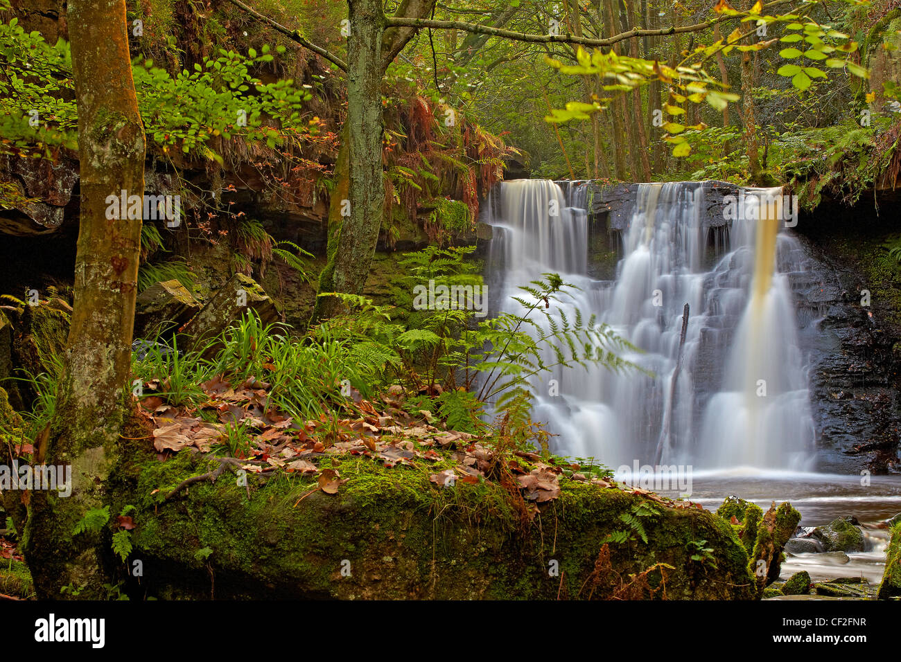 Harris falls hi-res stock photography and images - Alamy