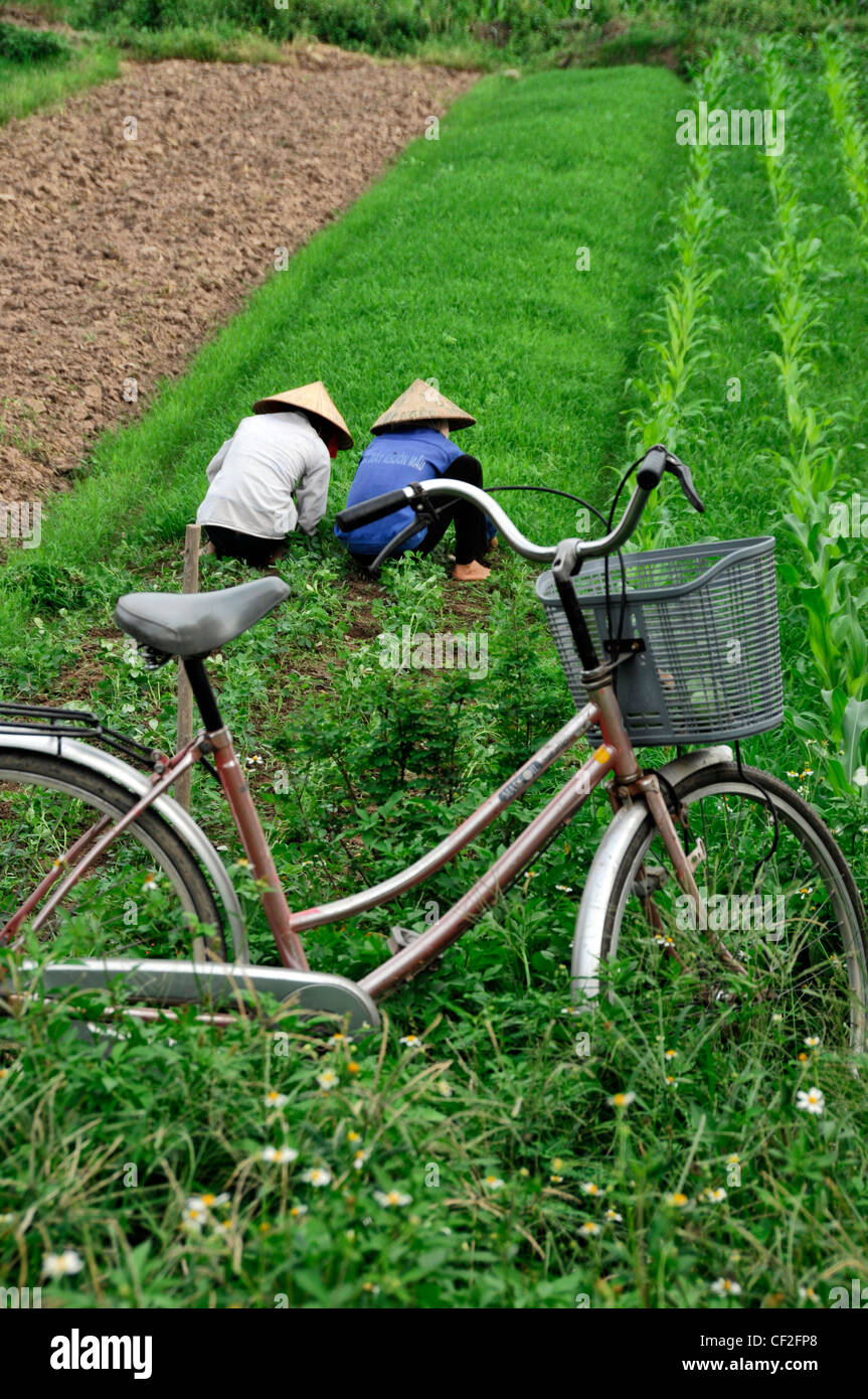 farmers in vietnam Stock Photo - Alamy