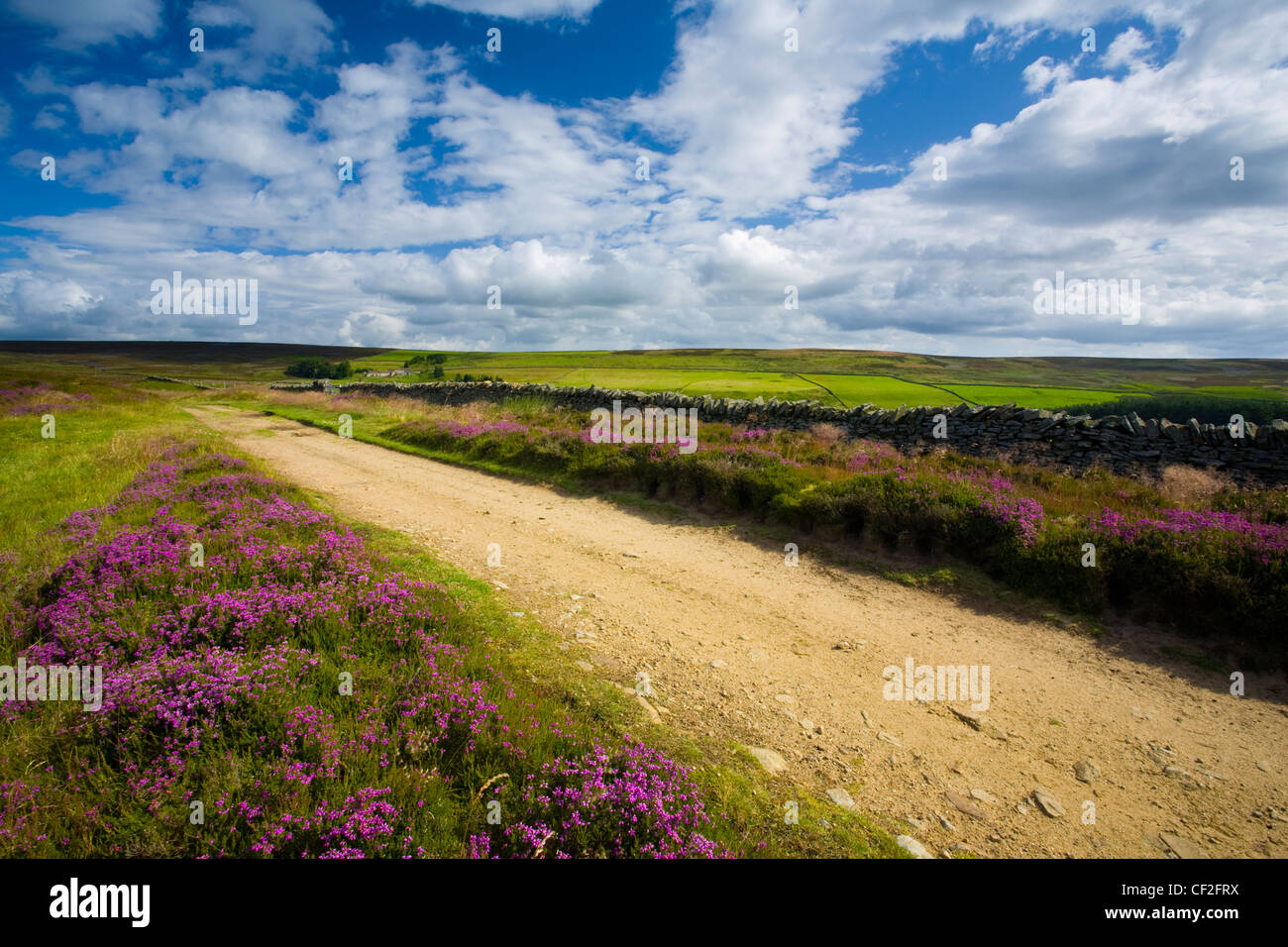 North pennine moors heather hi-res stock photography and images - Alamy
