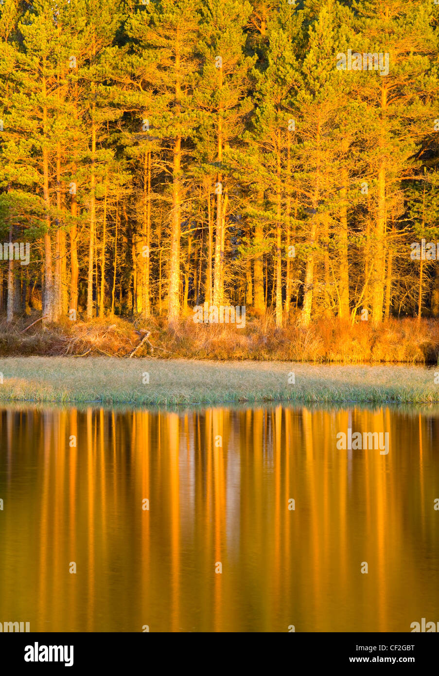 Milton country park hi-res stock photography and images - Alamy
