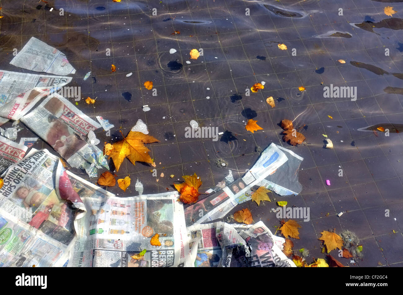 Discarded newspapers and leaves floating in a pool of water Stock Photo ...