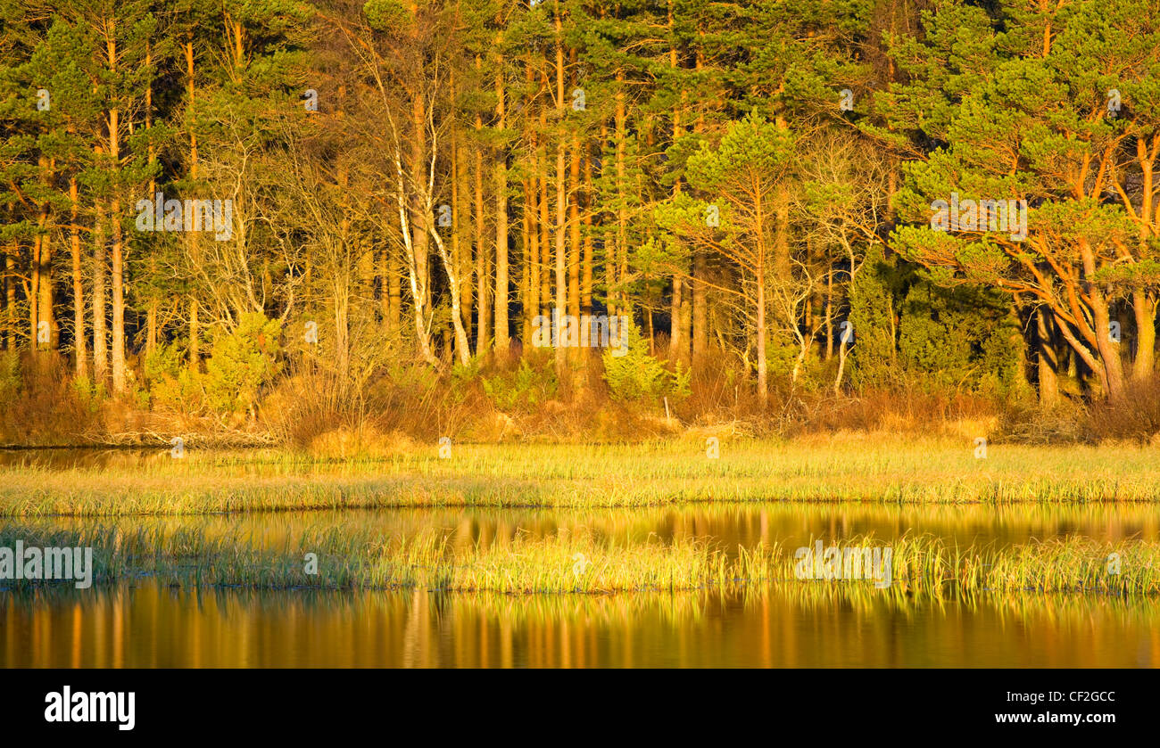 Milton country park hi-res stock photography and images - Alamy