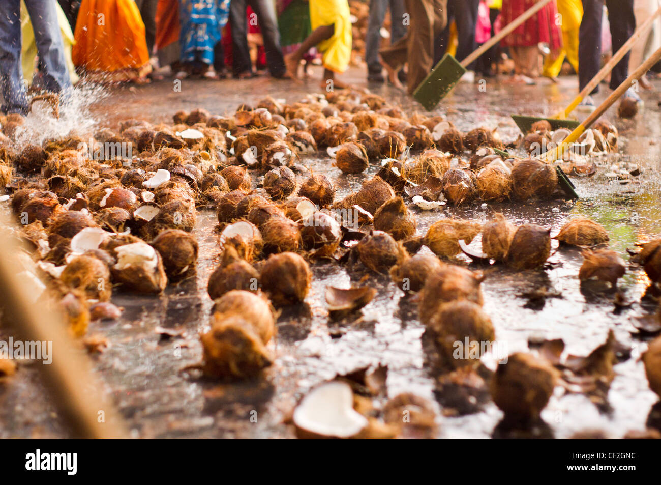 Thaipusam smashing coconut festival hi-res stock photography and images ...