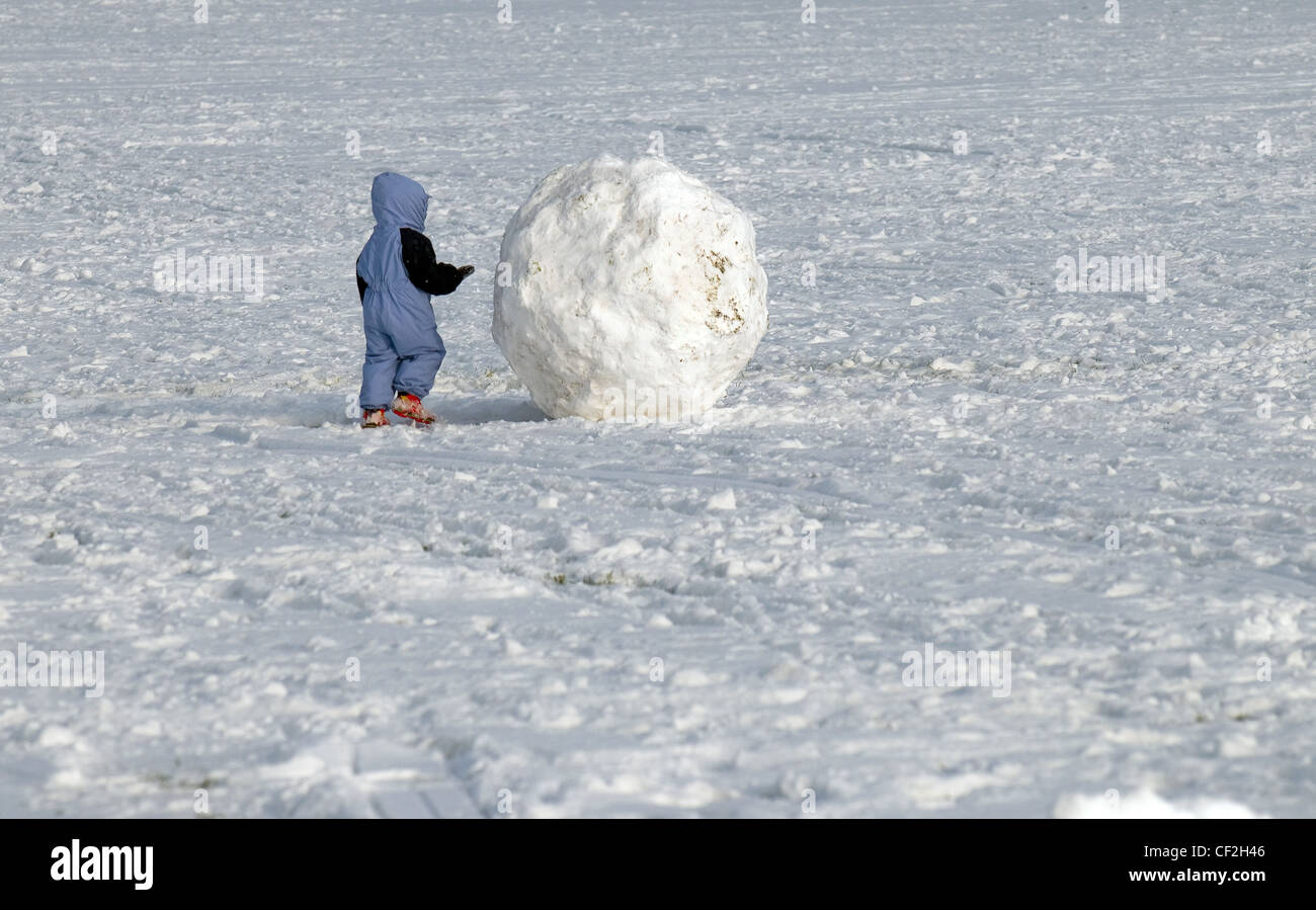A toddler with a very large snowball in a snow covered field Stock ...