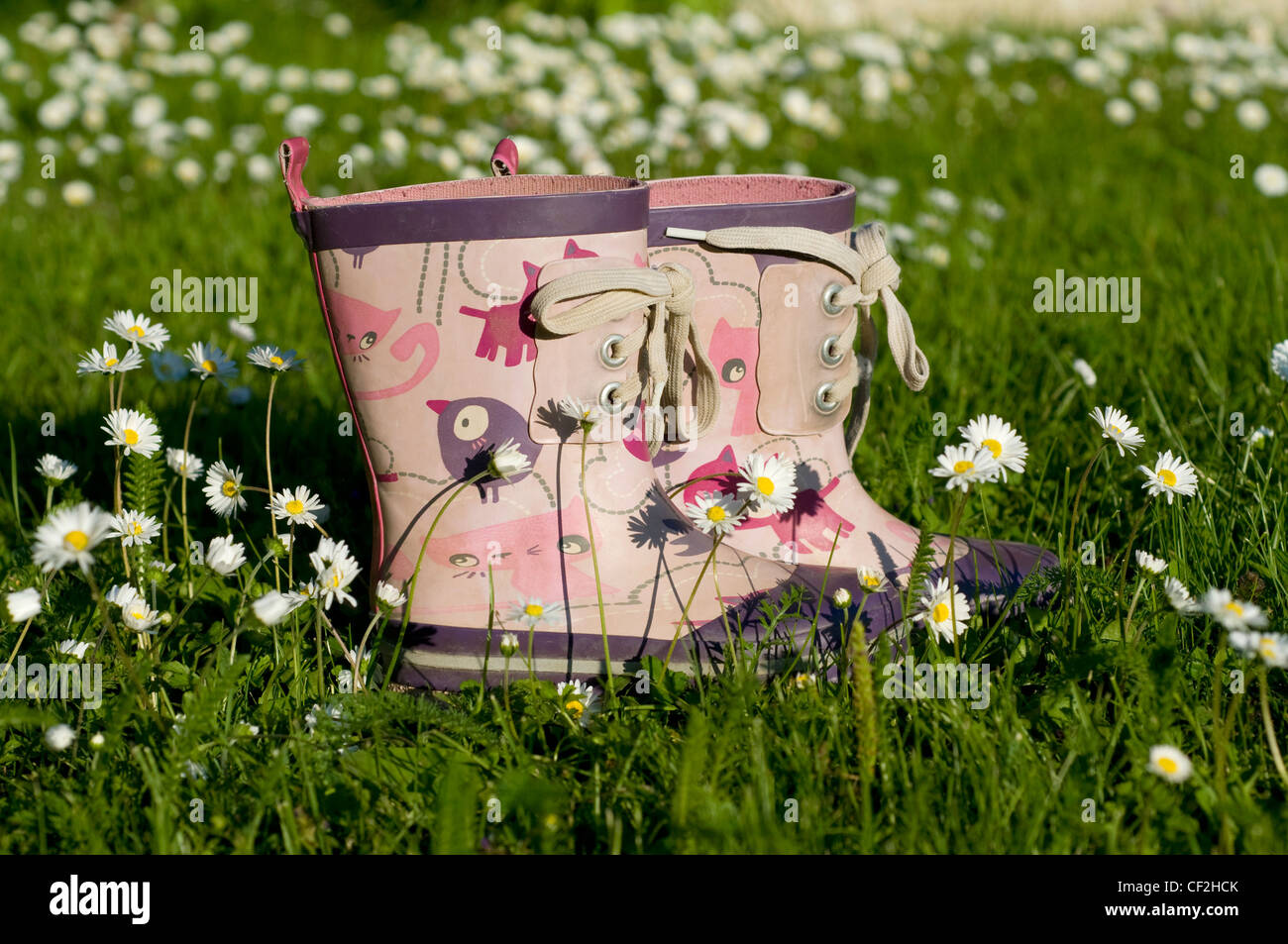 Child's colourful wellies in the grass surrounded by daisies Stock ...