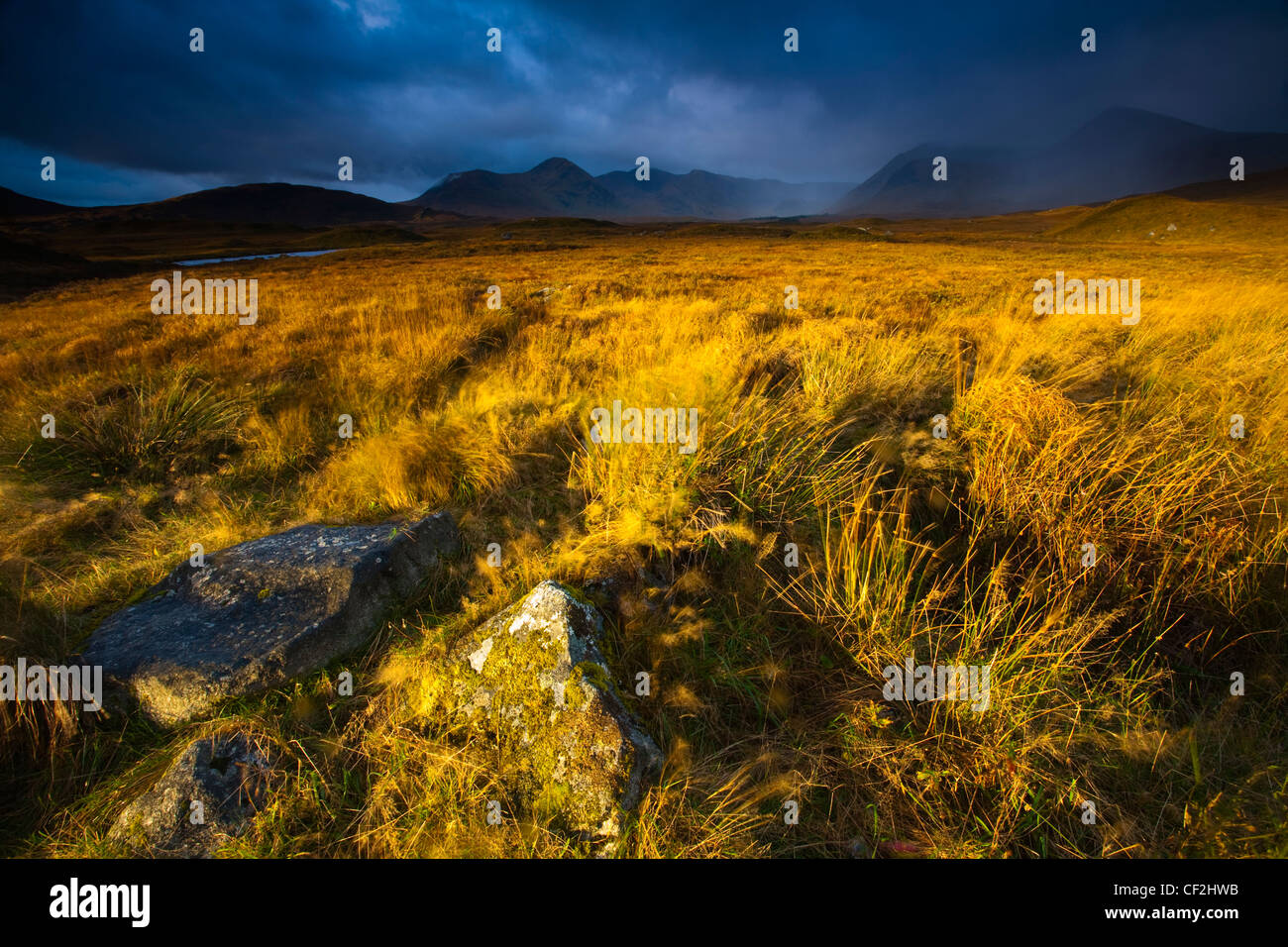 Early morning sun on Rannoch Moor with the dominating peak of the Black ...