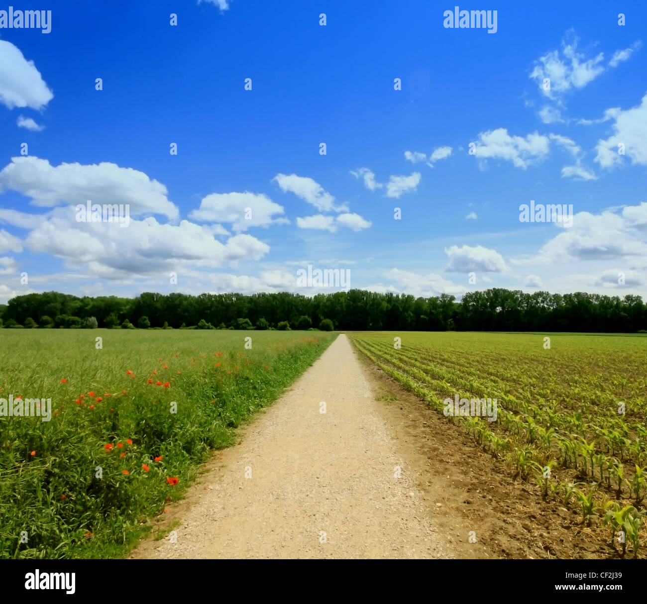 Germany rural hi-res stock photography and images - Alamy