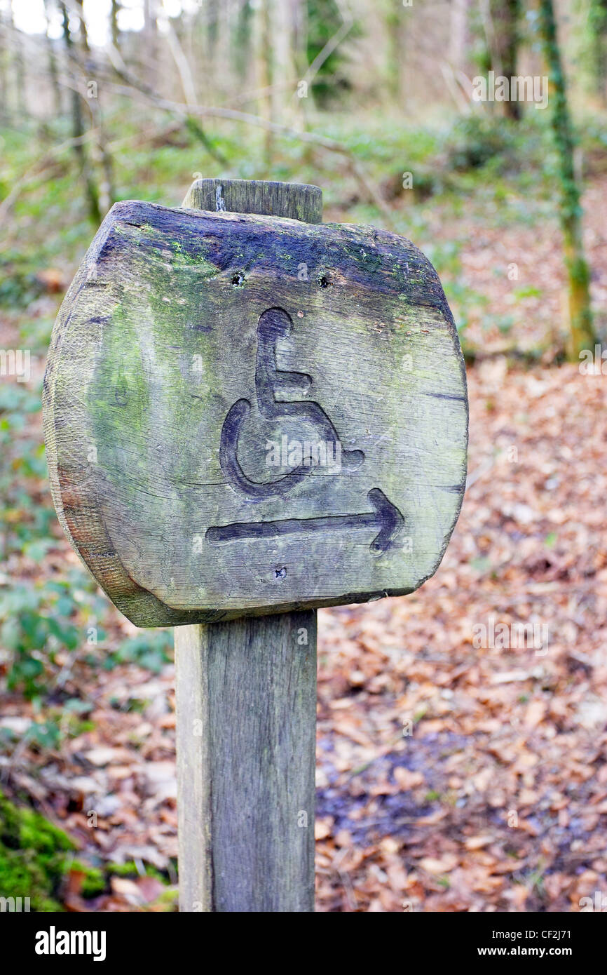 A woodland sign showing a path through the woods suitable for ...