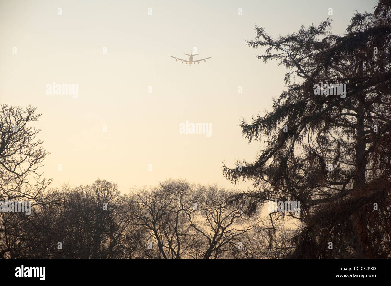 Aeroplane flying over trees hi-res stock photography and images - Alamy