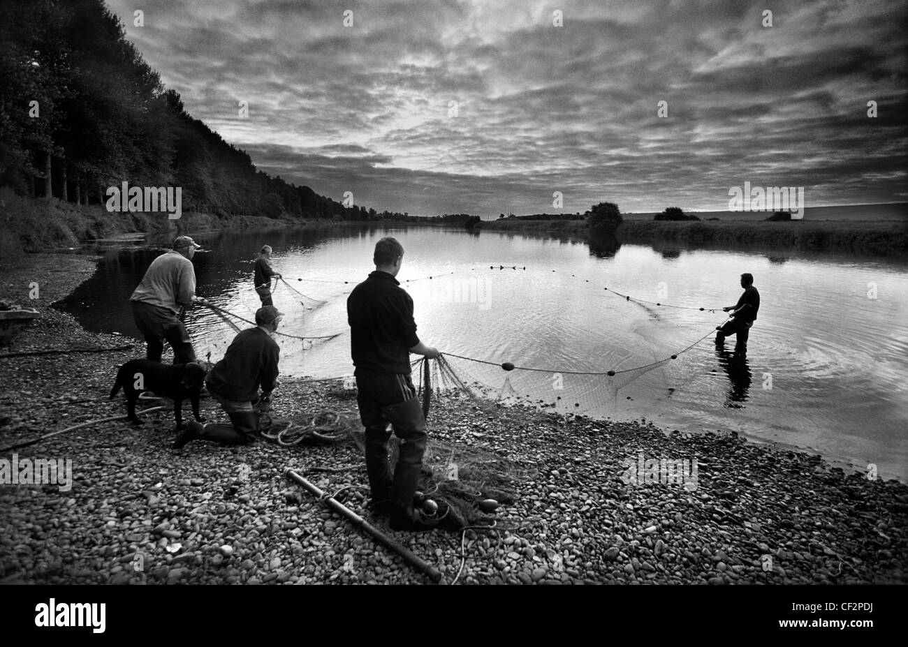 Traditional net fishermen fishing on the River Tweed at Paxton House on ...