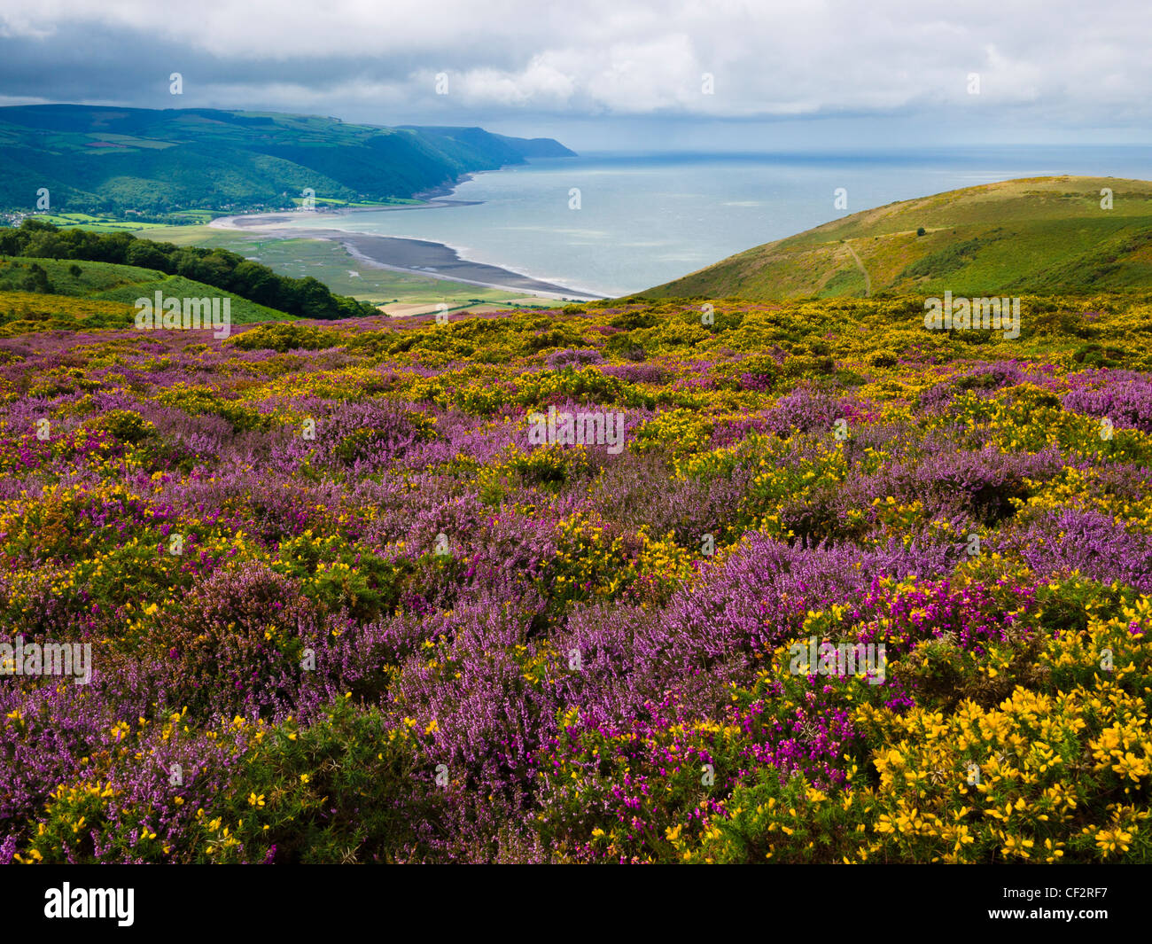 Bossington hill hi-res stock photography and images - Alamy